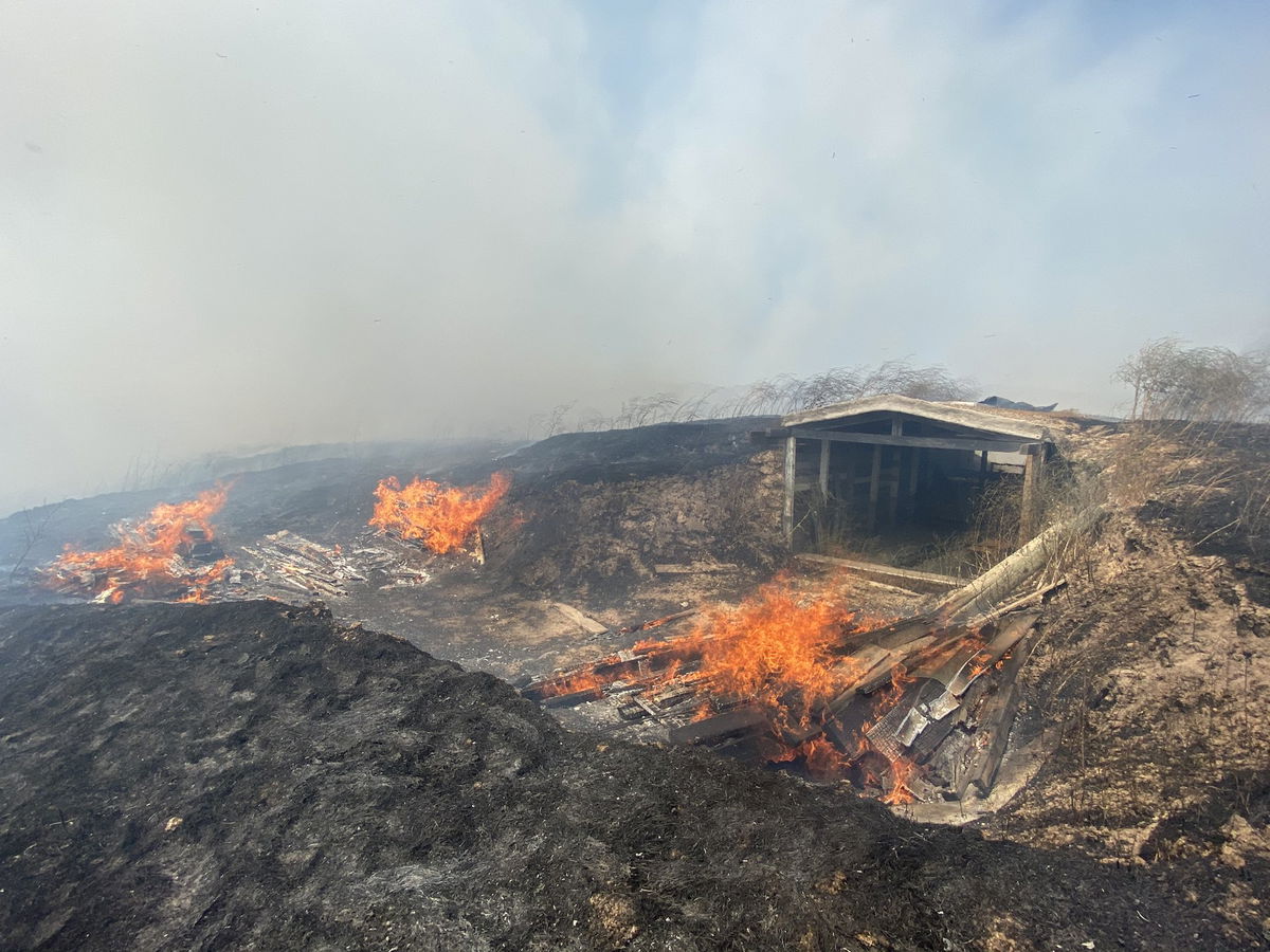 Ballard Fire burns 37 acres in Santa Ynez Valley | News Channel 3-12